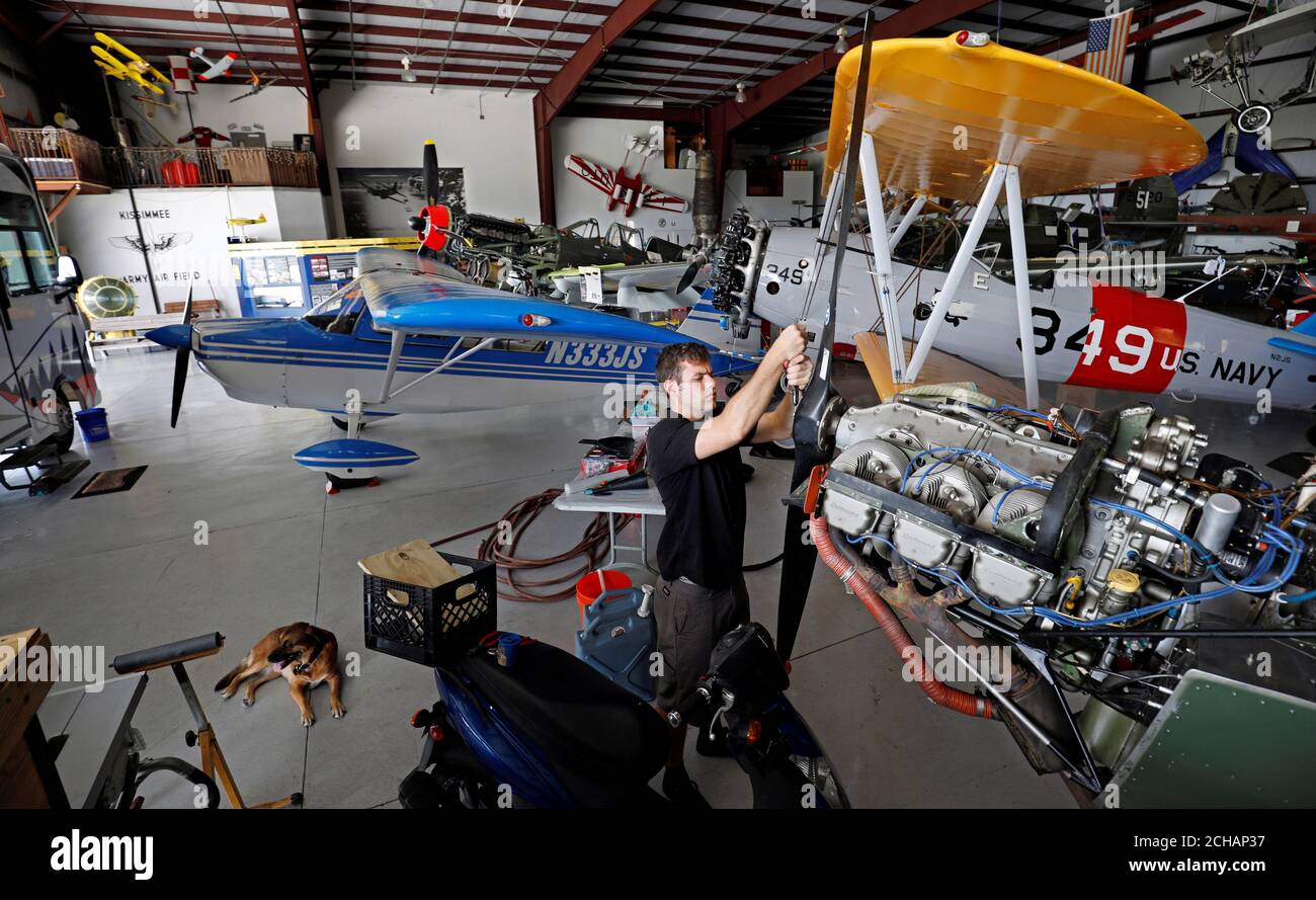 Tyler Bird High Resolution Stock Photography and Images - Alamy