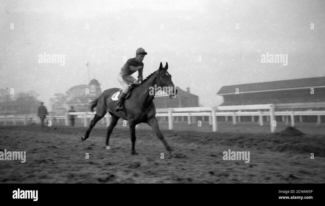 Despite a broken wrist, jockey Pat Taaffe hopes to be able to ride last ...