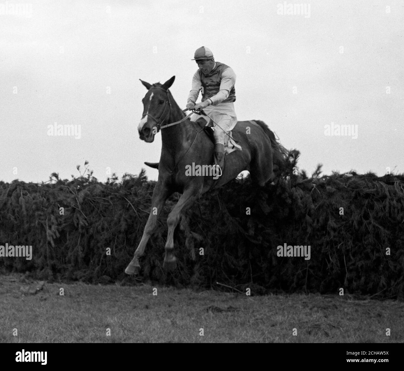 Bryan marshall jockey hi-res stock photography and images - Alamy