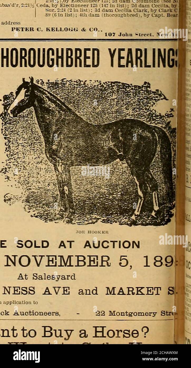 Oliver dam hi-res stock photography and images - Alamy