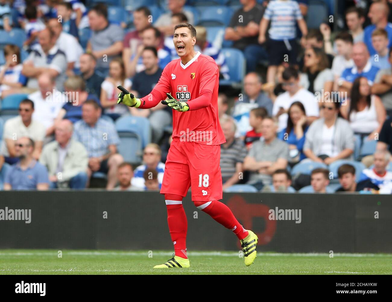 Watford's Costel Pantilimon during the pre-season friendly match at ...