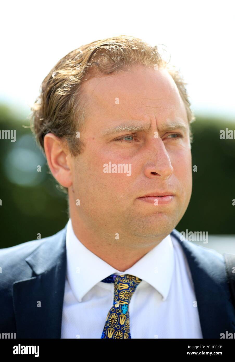 Oliver cole horse hi-res stock photography and images - Alamy