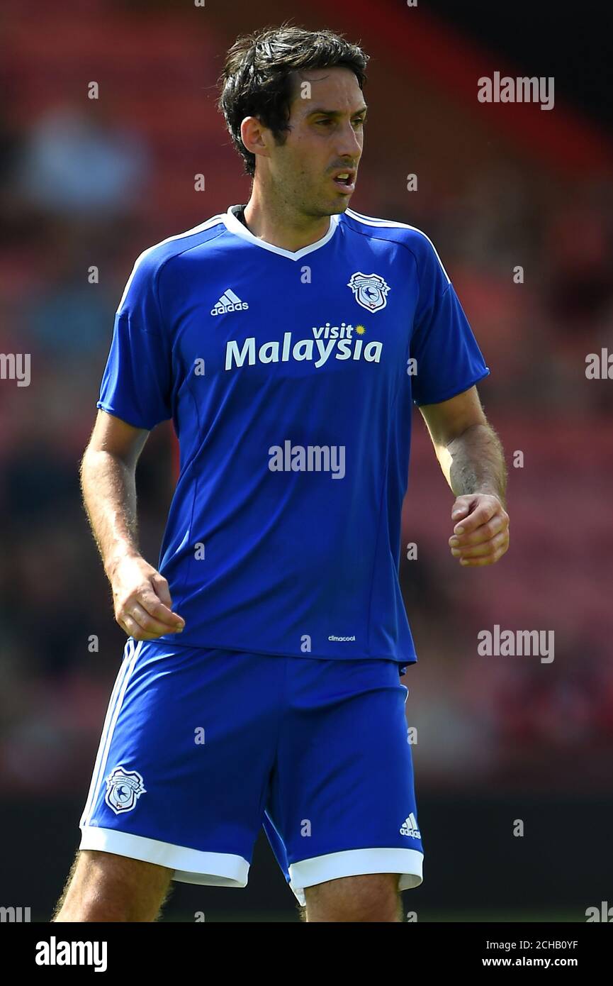 Cardiff City's Peter Whittingham Stock Photo - Alamy