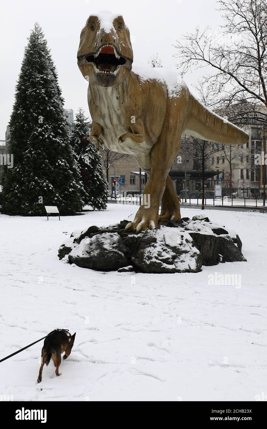 Dinosaur In Snow High Resolution Stock Photography and Images - Alamy