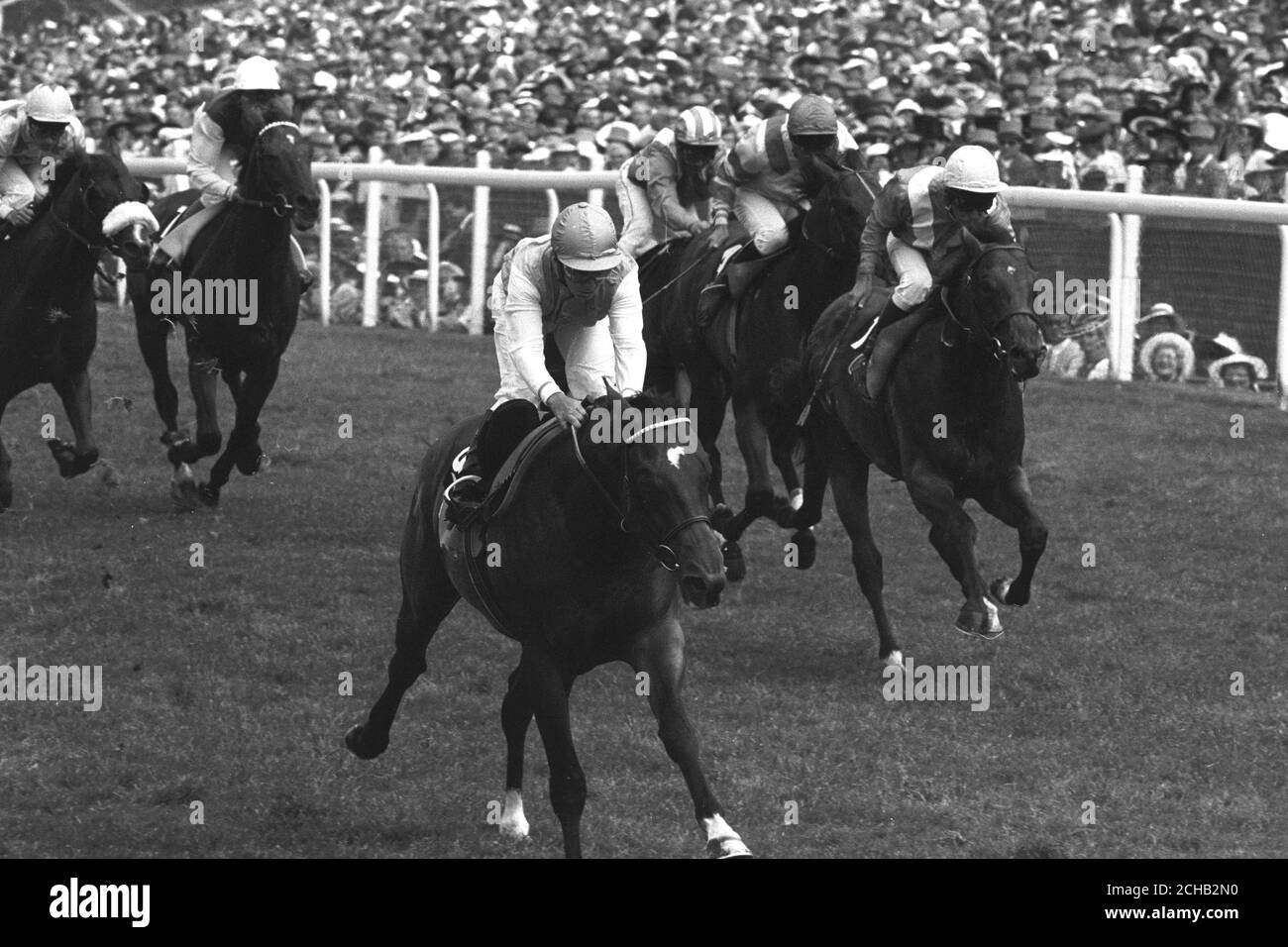 Brian rouse in saddle hi-res stock photography and images - Alamy