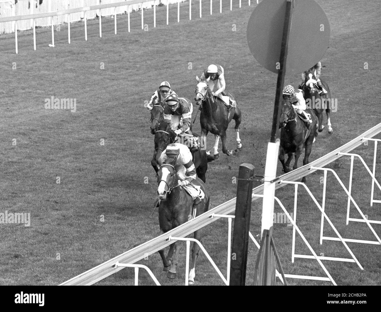 Spotted finish hi-res stock photography and images - Alamy