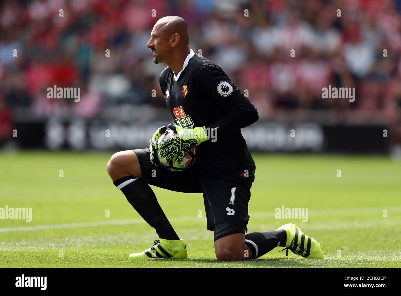 Watford goalkeeper Heurelho Gomes Stock Photo - Alamy