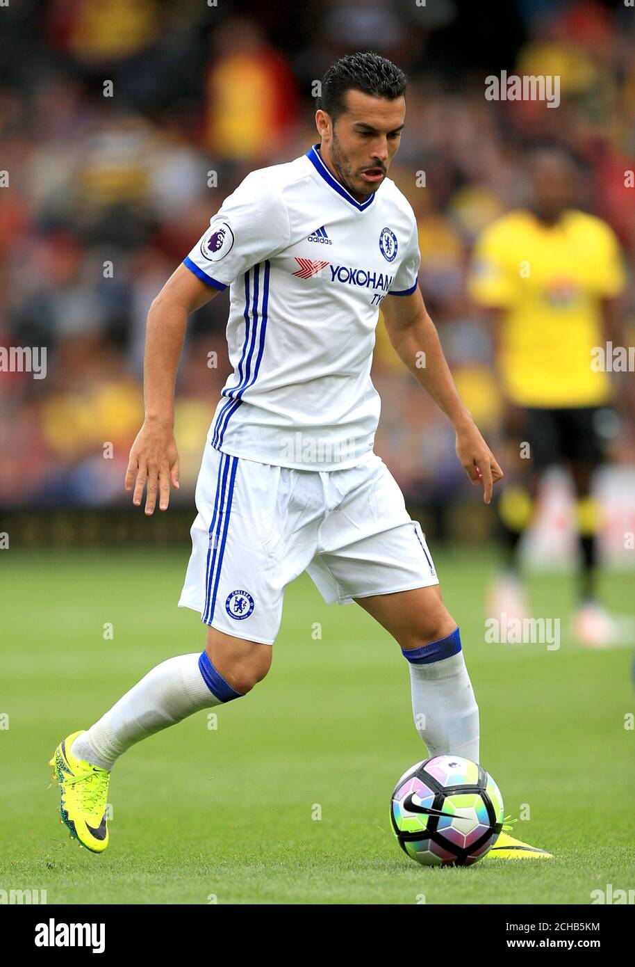 English pedro of chelsea hi-res stock photography and images - Alamy