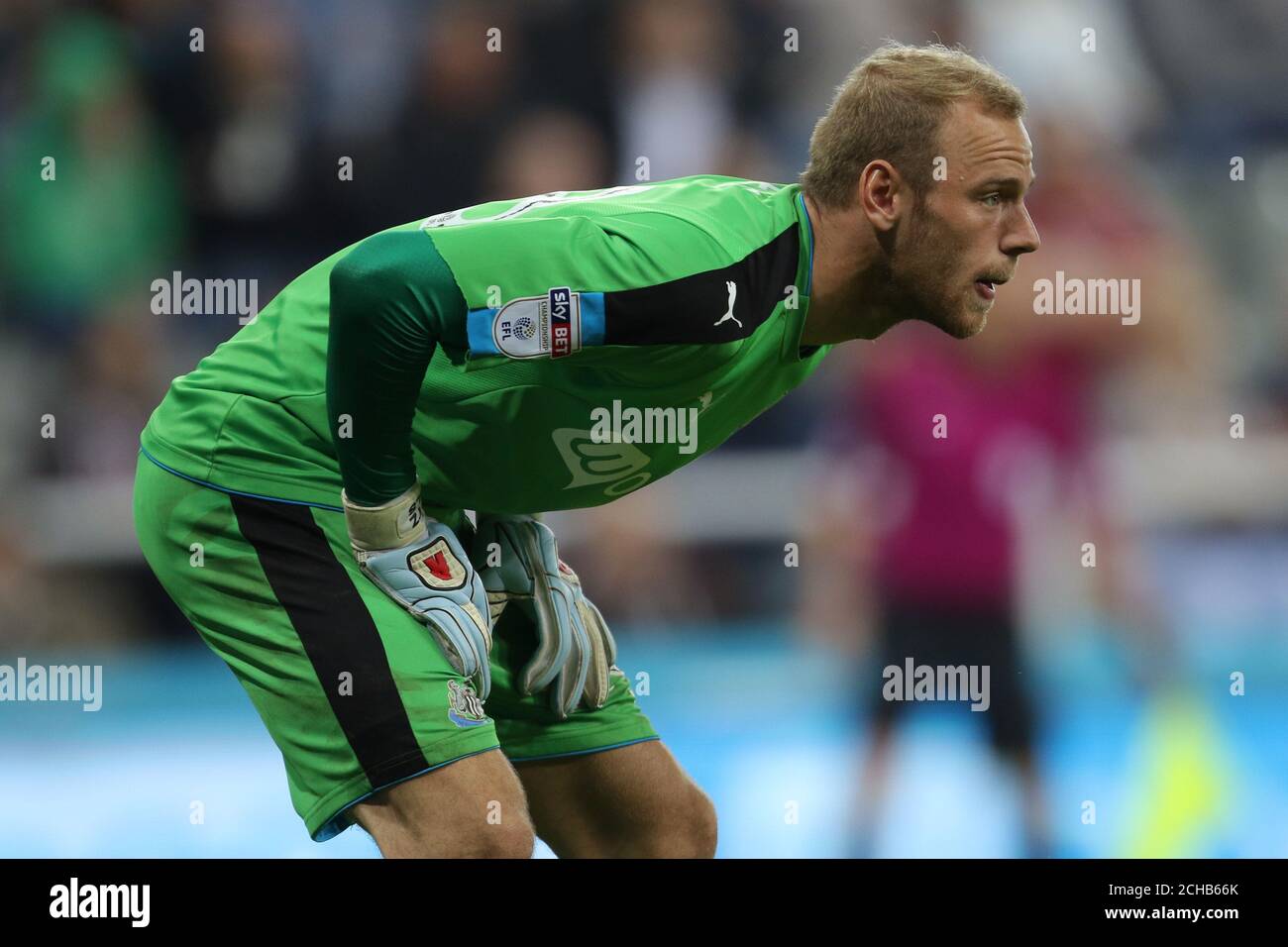 Matz sels hi-res stock photography and images - Alamy