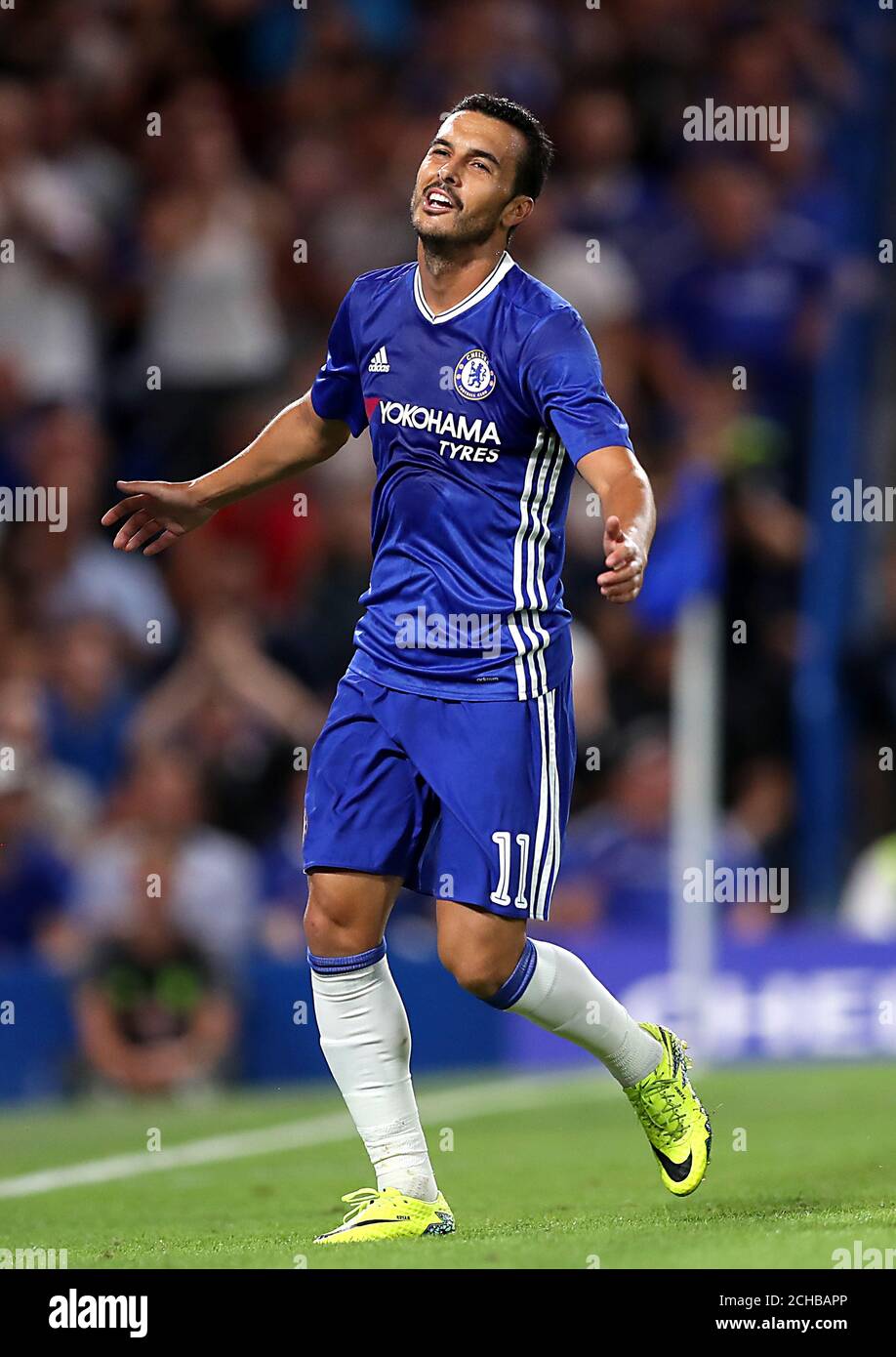 Pedro ampics hi-res stock photography and images - Alamy