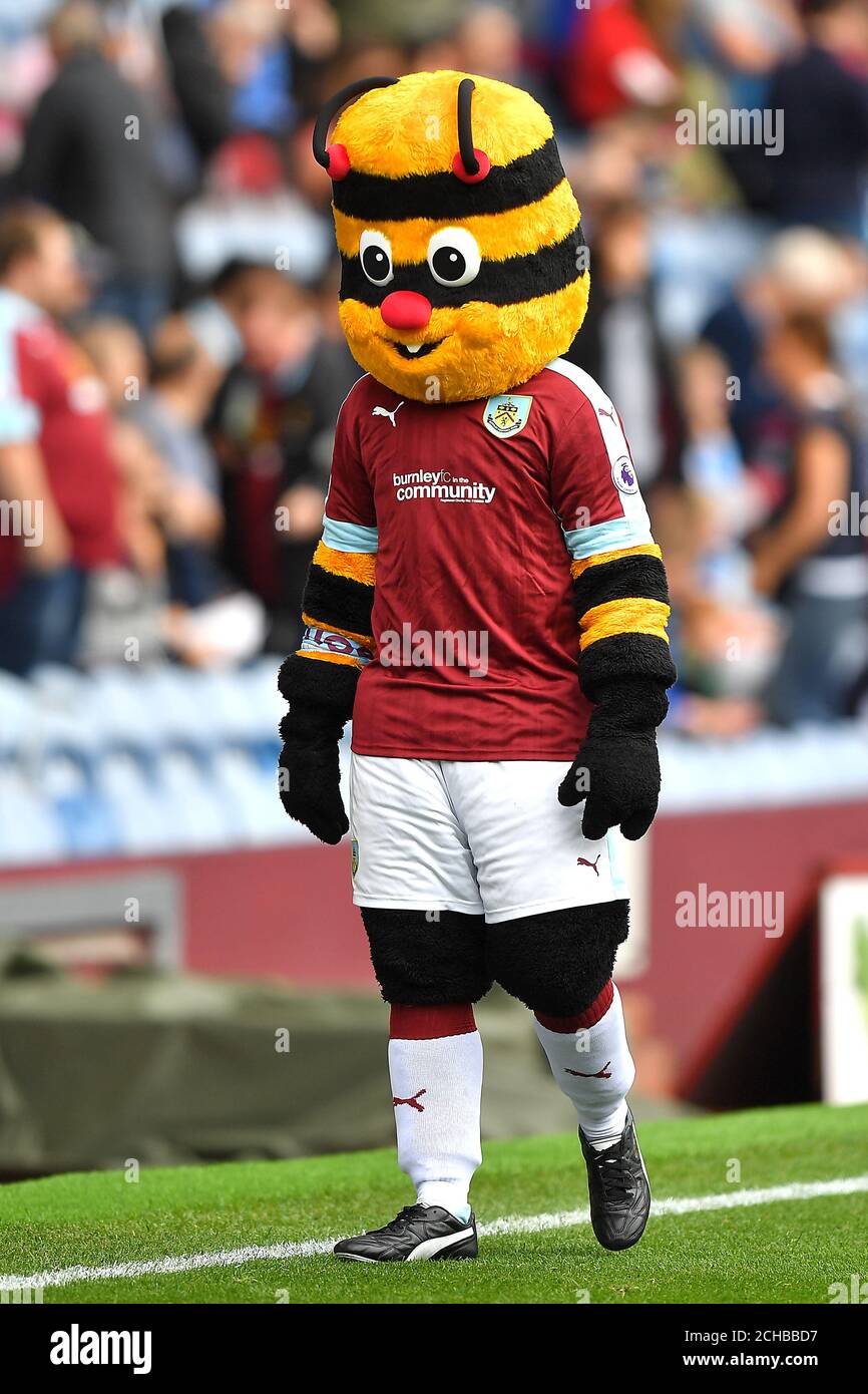 Burnley club mascot Bertie Bee Stock Photo - Alamy