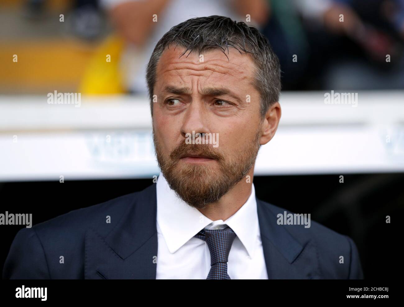 Fulham manager Slavisa Jokanovic Stock Photo - Alamy