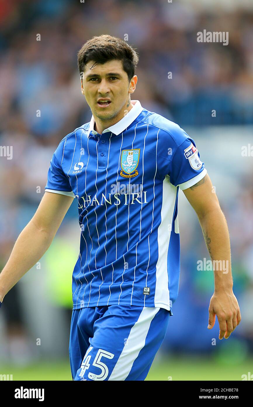 Fernando Forestieri, Sheffield Wednesday Stock Photo - Alamy