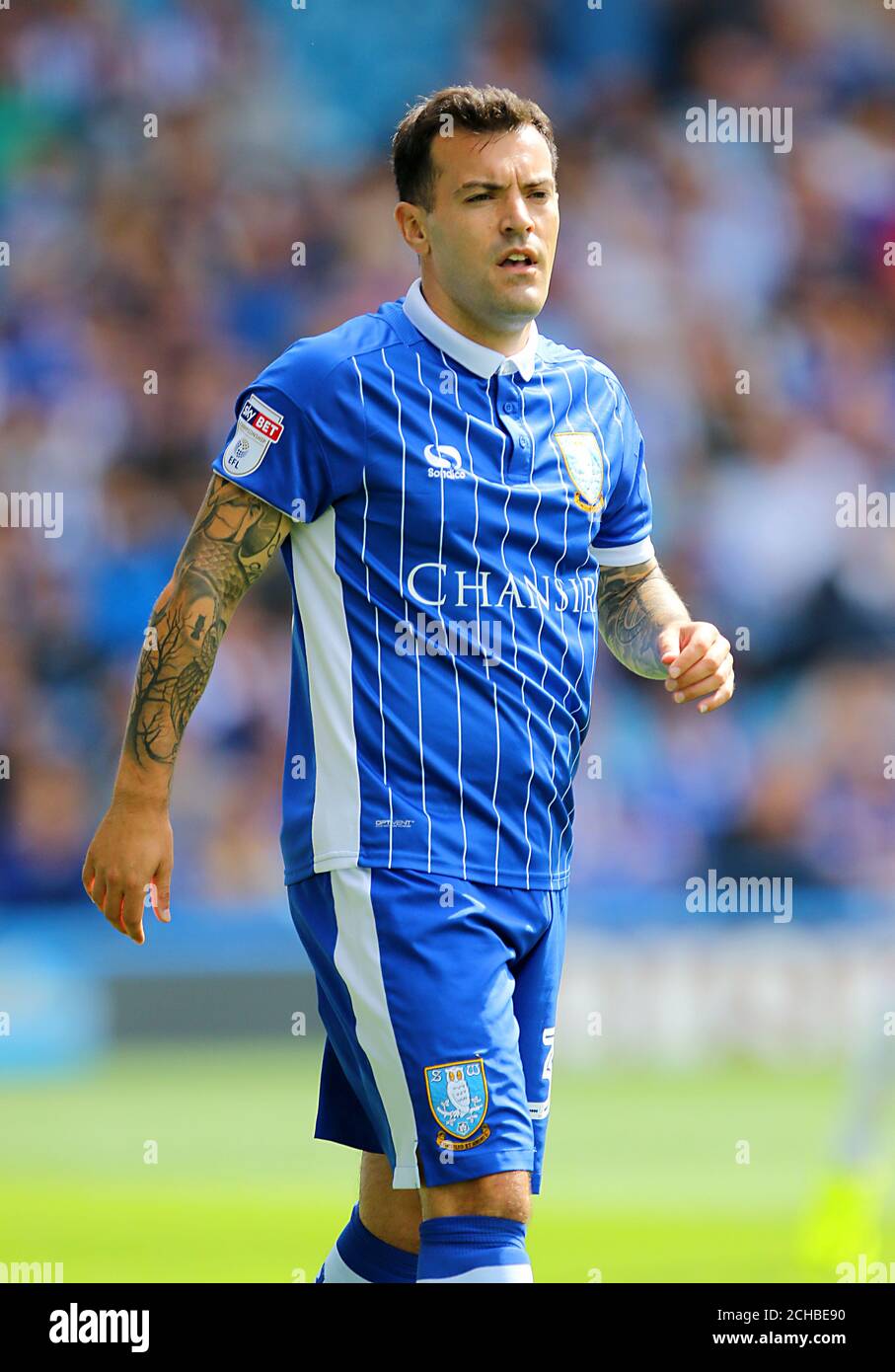 Ross Wallace, Sheffield Wednesday Stock Photo - Alamy