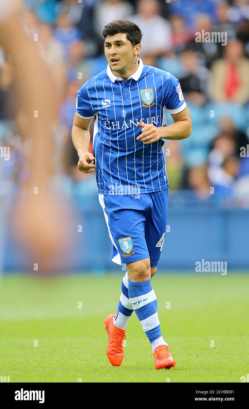 Fernando Forestieri, Sheffield Wednesday Stock Photo - Alamy