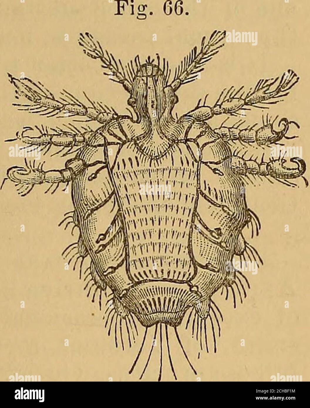 Skin indentations hi-res stock photography and images - Alamy