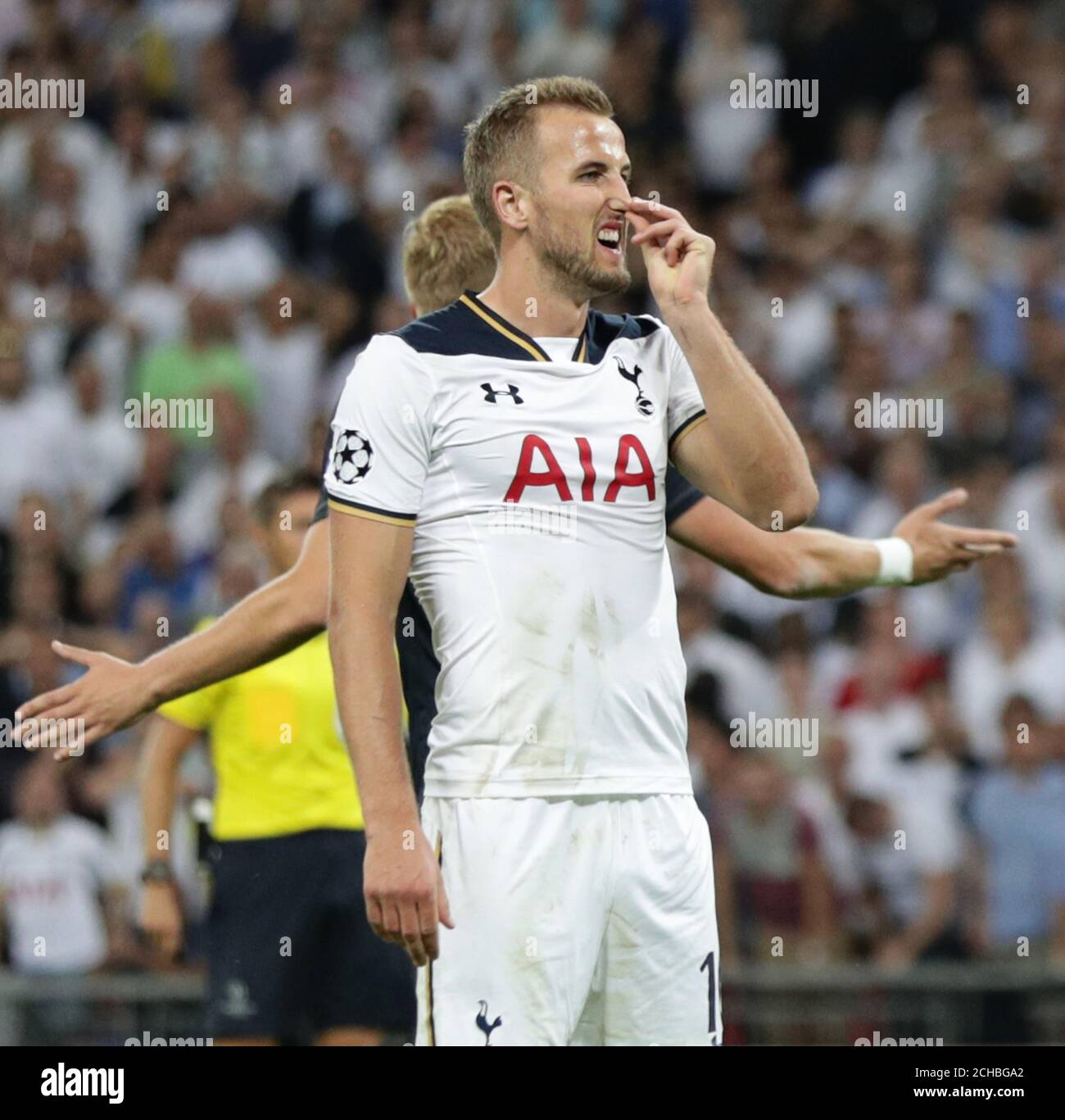 Tottenham Hotspur's Harry Kane during the Champions League match at the ...