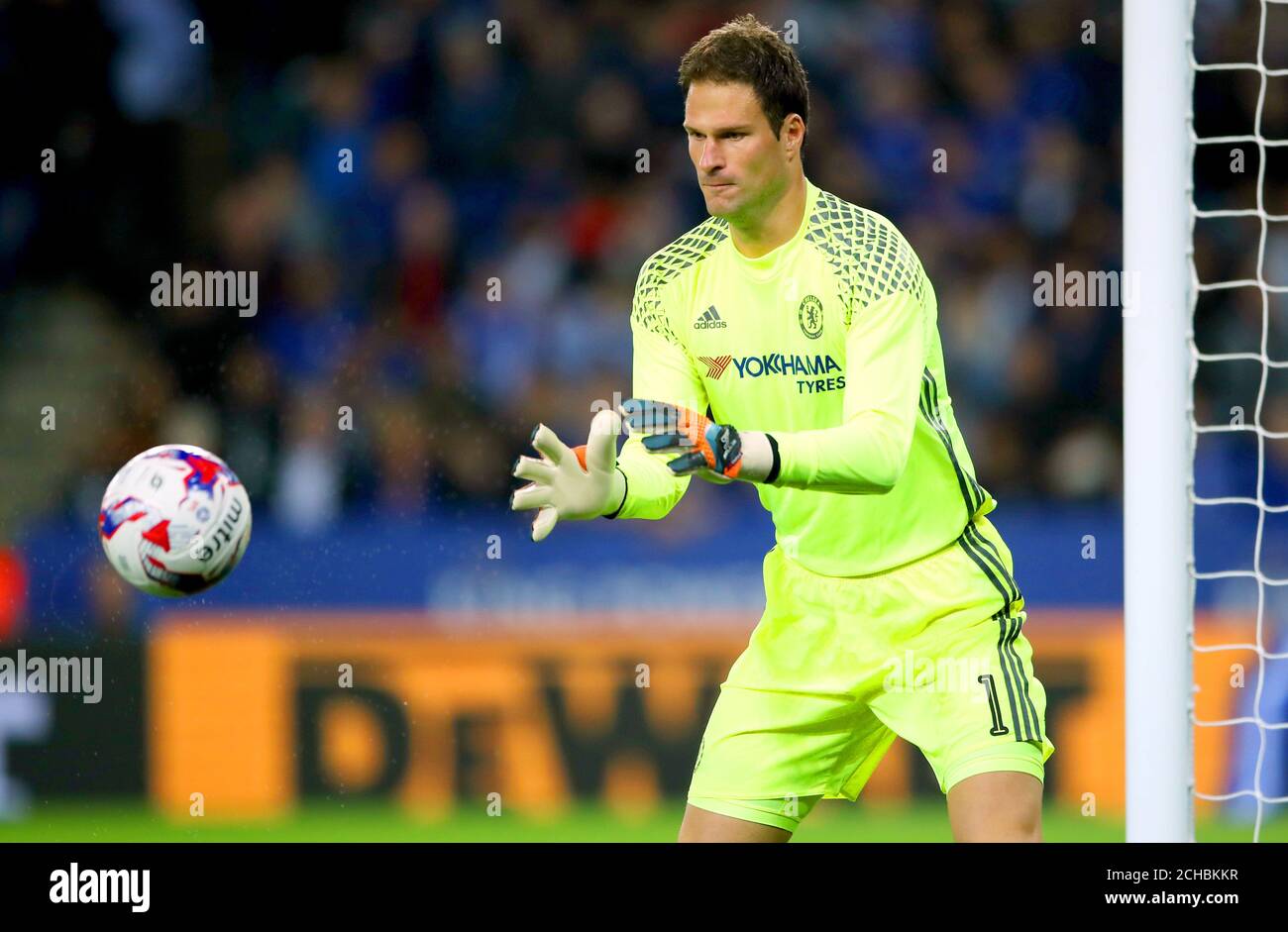 Chelsea goalkeeper asmir begovic hi-res stock photography and images ...