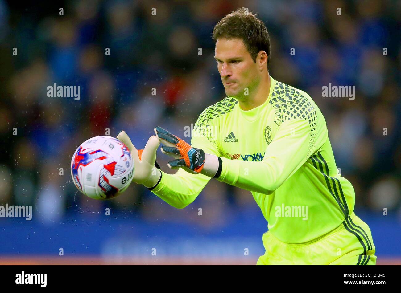 Chelsea goalkeeper Asmir Begovic Stock Photo - Alamy