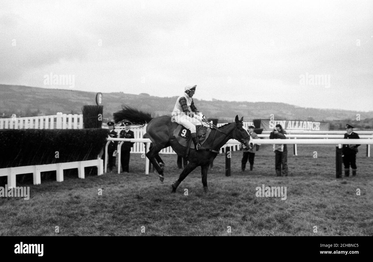 Jockey Tom Morgan steers 'Pearlyman' over the last fence to win the ...