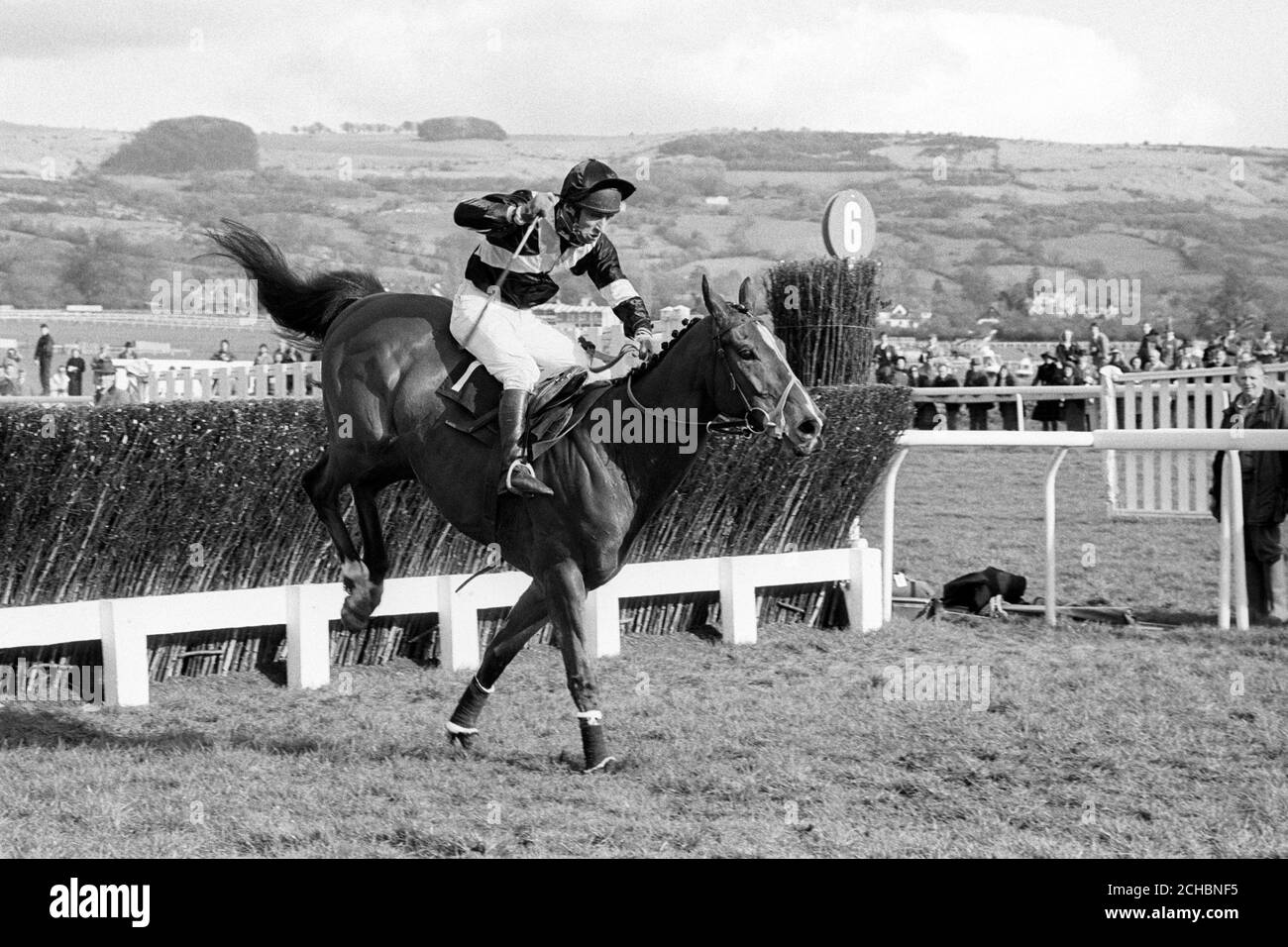 'Barnbrook Again', with Simon Sherwood up, clears the last jump to win ...
