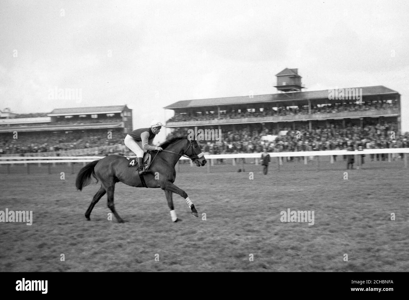 Persian war horse race hi-res stock photography and images - Alamy