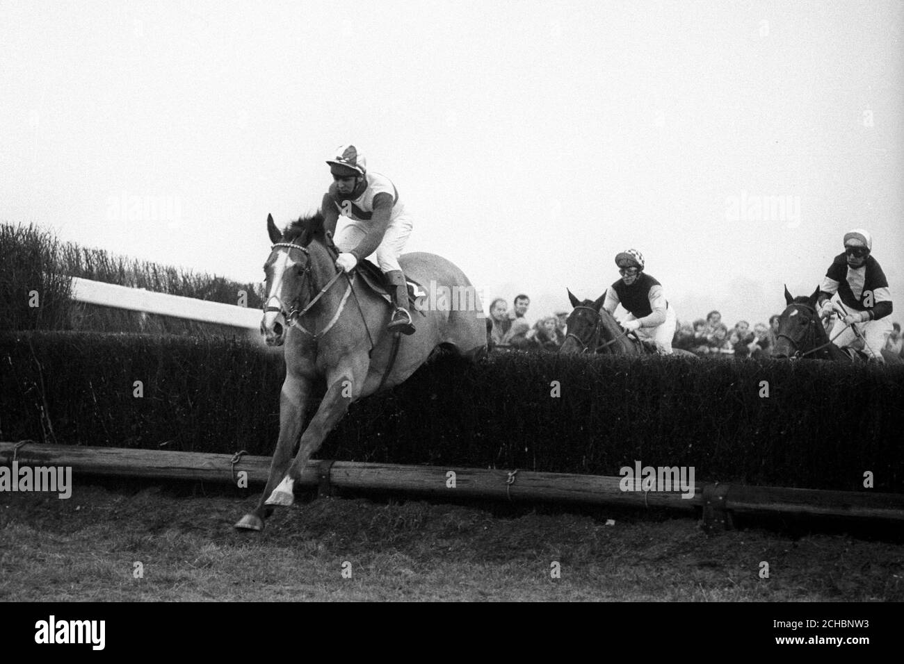 A portrait of The Dikler, taking a fence, with Ron Barry up Stock Photo ...