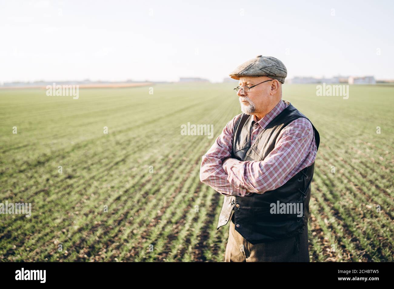 Farmer walking wheat field examining hi-res stock photography and ...