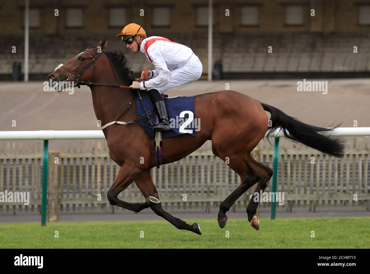 Jockey James Doyle and Babamunchkin go to post Stock Photo - Alamy