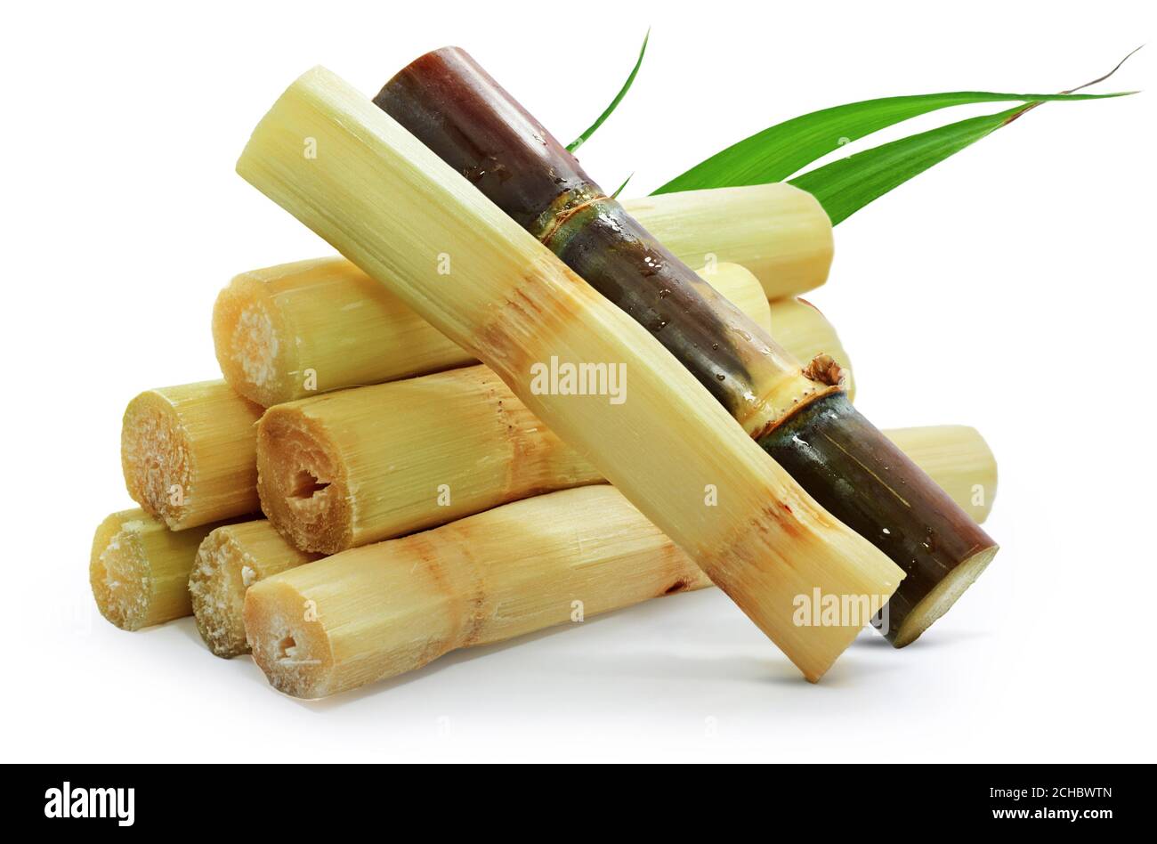 Single object of sugar cane isolated on white background Stock Photo ...