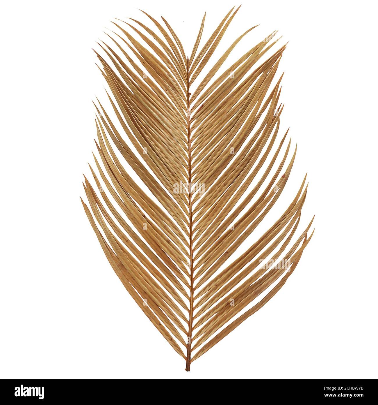 Palm leaf roof hi-res stock photography and images - Alamy