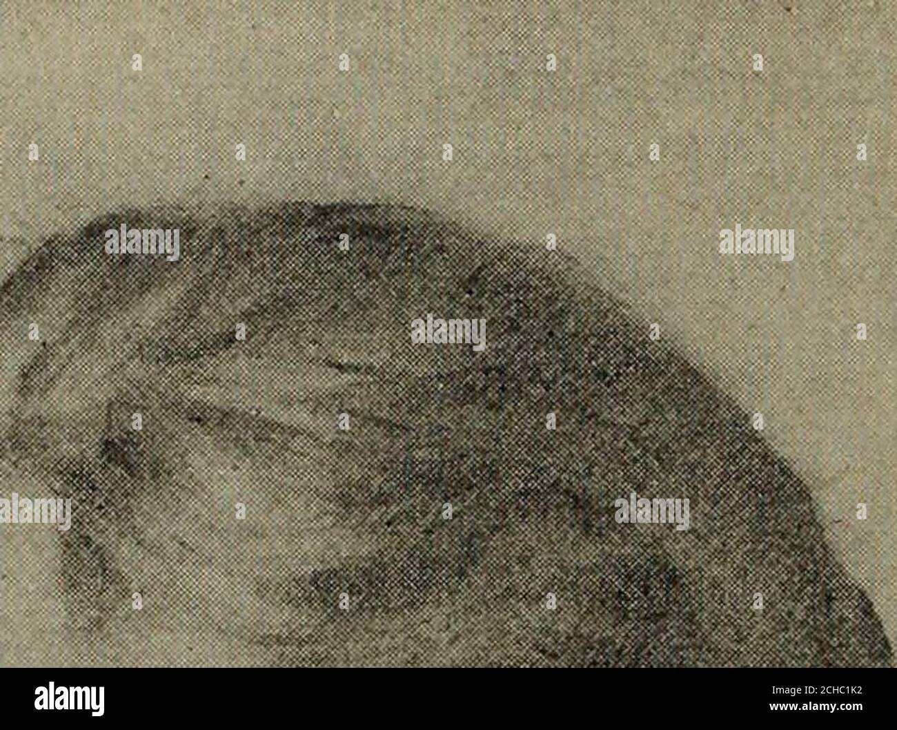 Self taught poet hi-res stock photography and images - Alamy