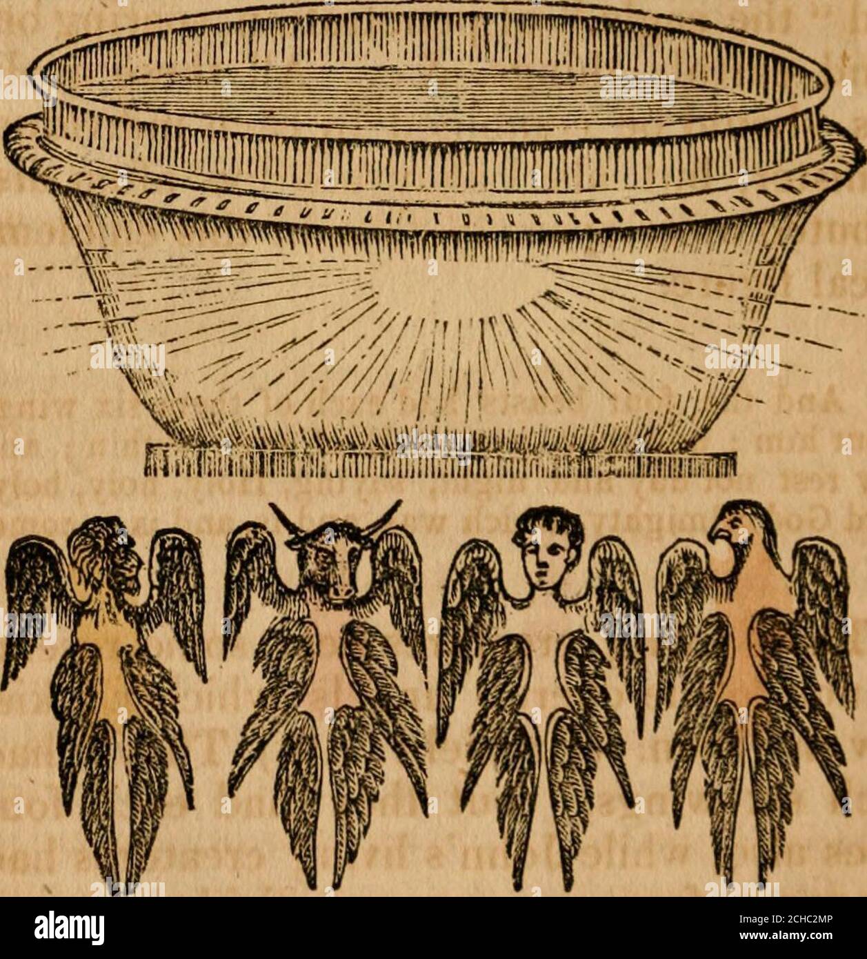 Four Living Creatures