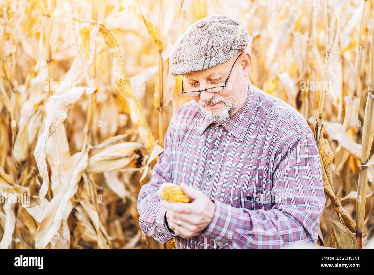 Male farmer walking checking plants hi-res stock photography and images ...