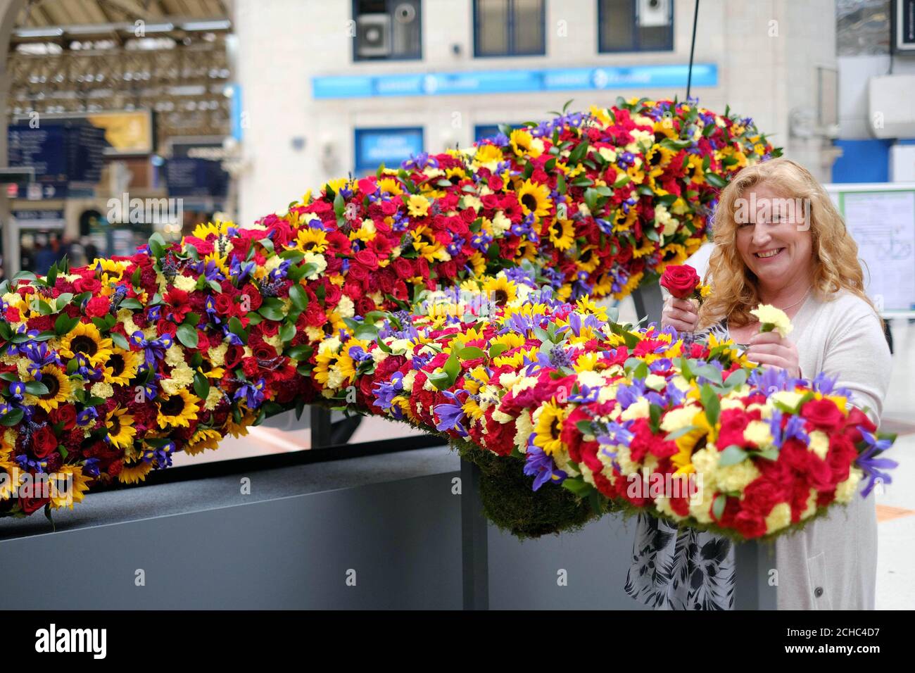 Television gardener Charlie Dimmock unveils a floral plane at London ...