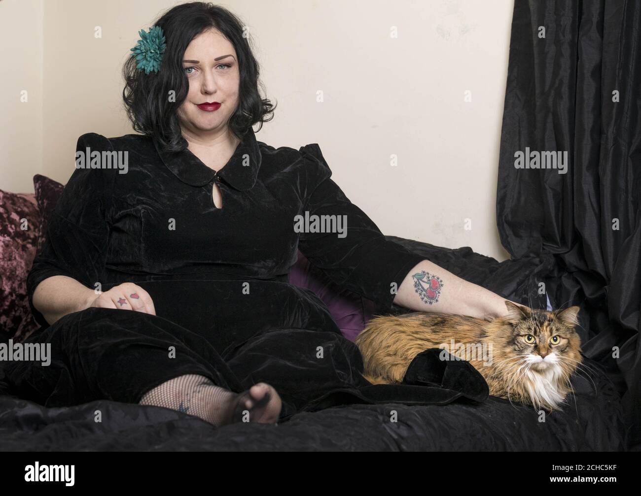 Cat glover hi-res stock photography and images - Alamy