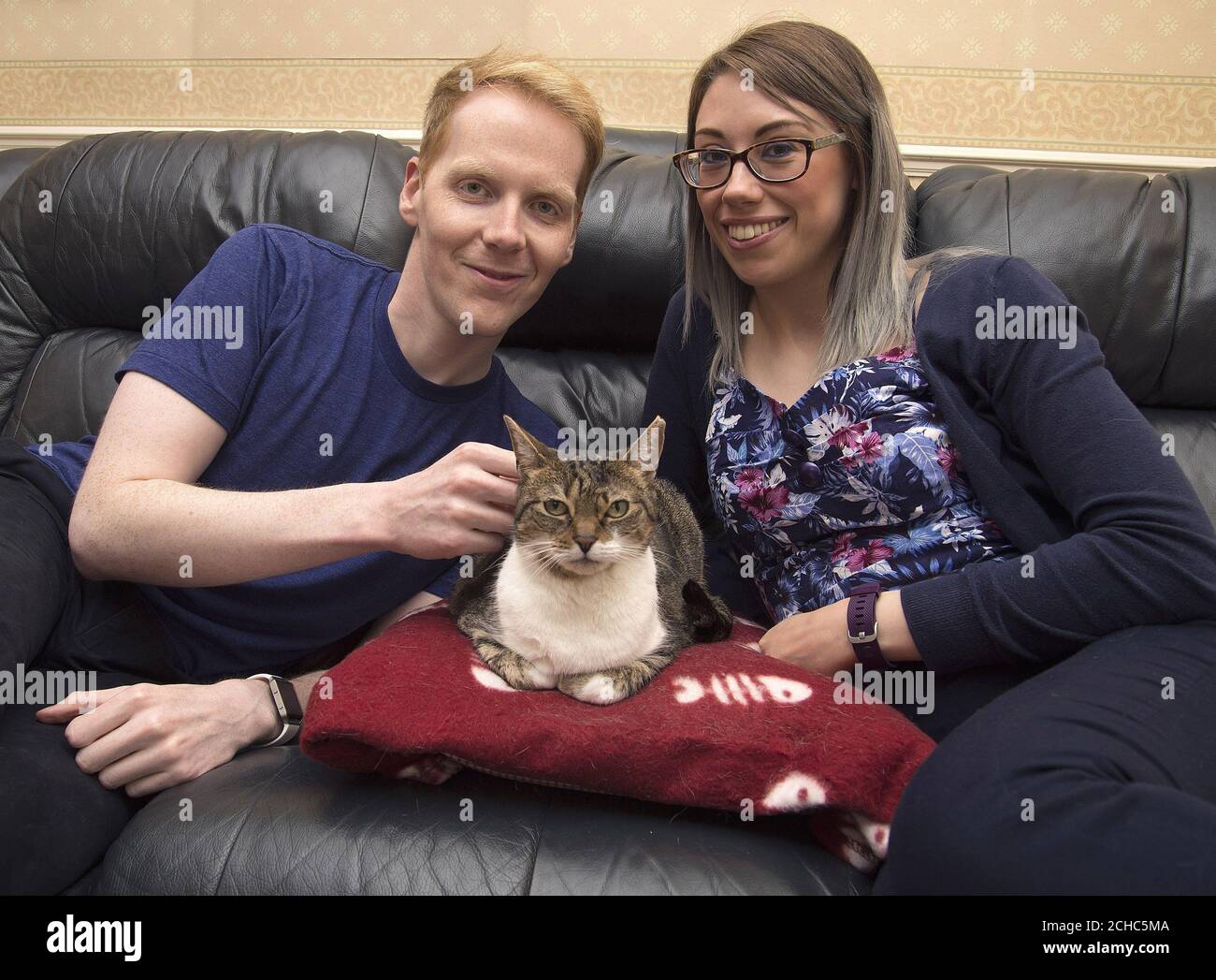 Cats protection awards missy hi-res stock photography and images - Alamy