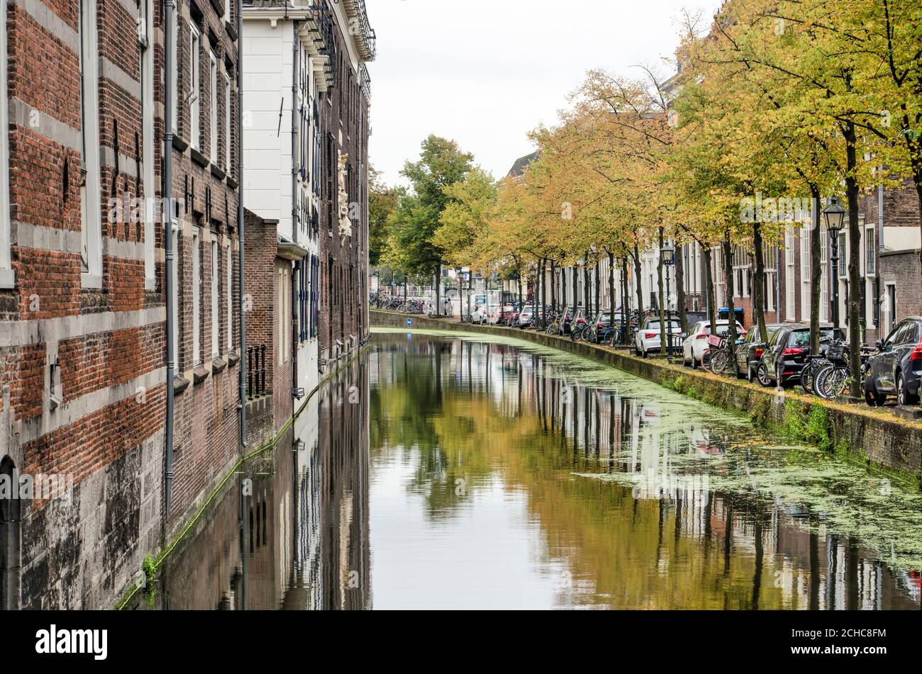 Canopy Of Trees On Canal High Resolution Stock Photography and Images ...
