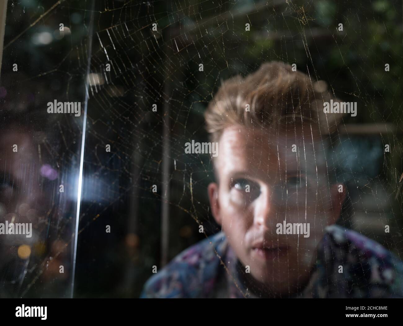 Sam Bompas looks at a web weaved by a Golden Orb Weaving Spider in the ...