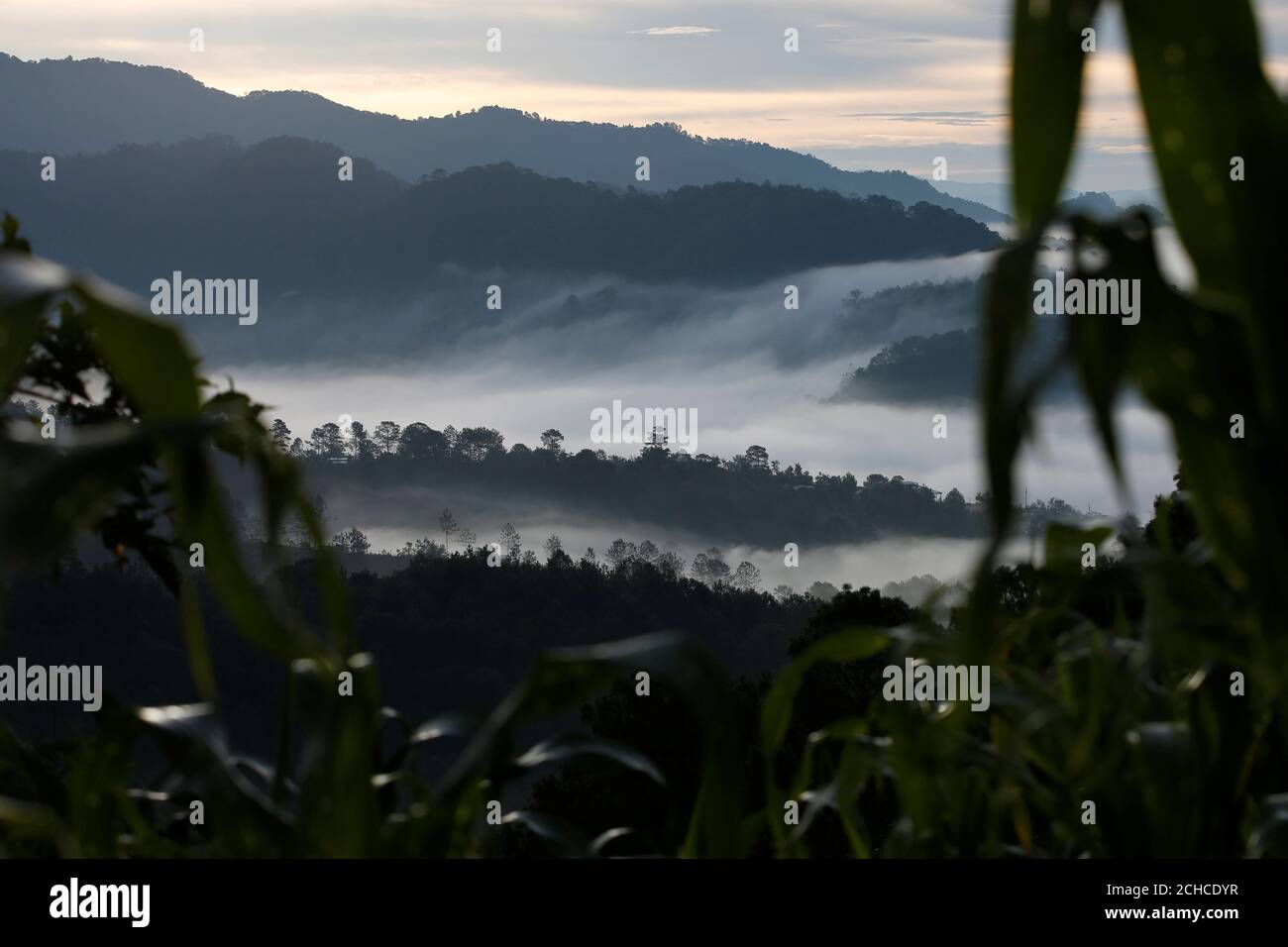 Sierra madre del sur hi-res stock photography and images - Alamy
