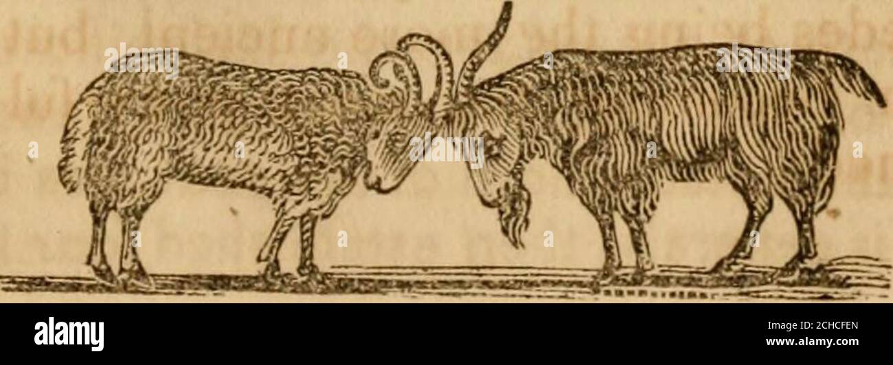 . Illustrations of prophecy : particularly the evening and morning ...