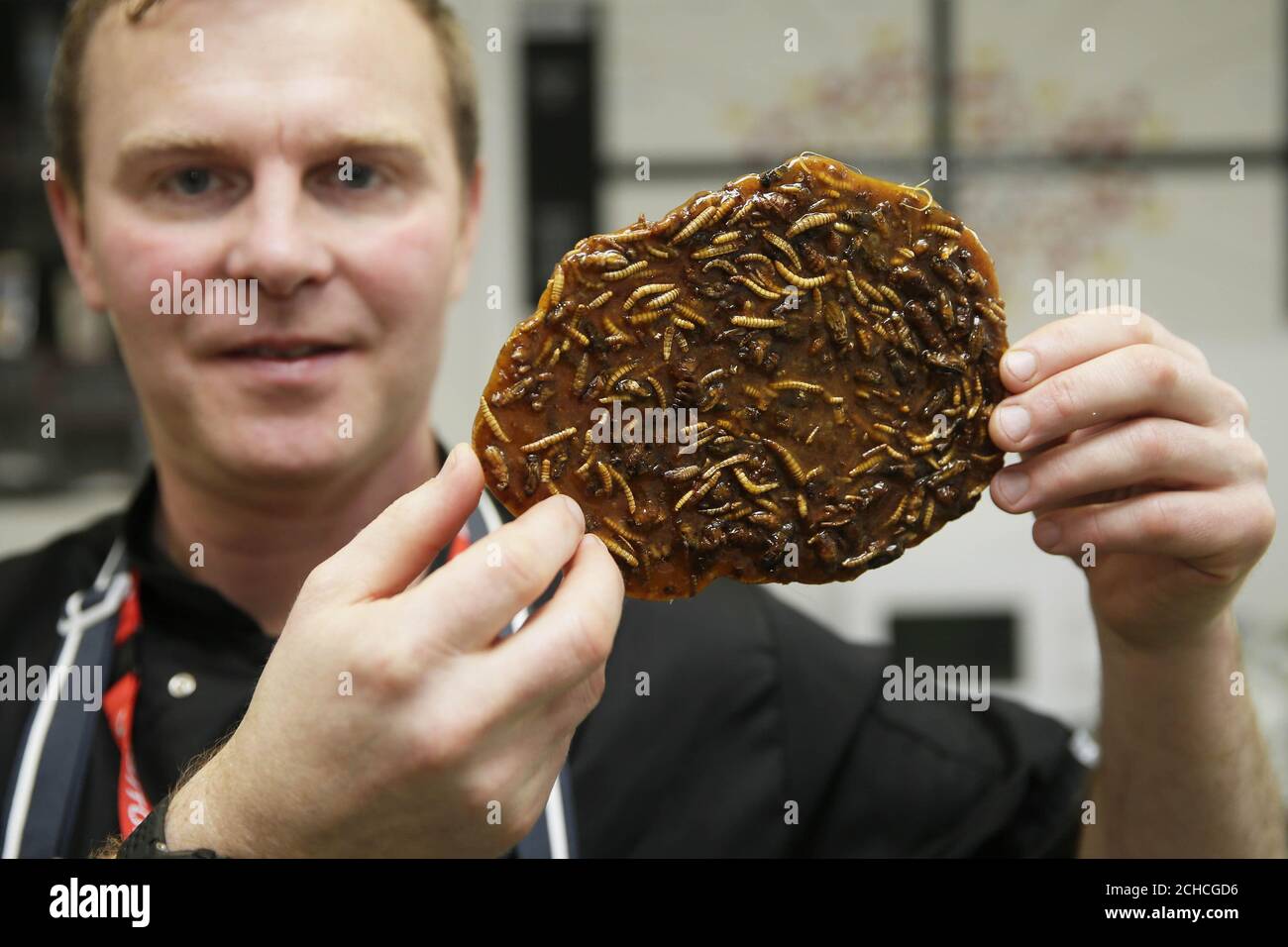 Rentokils hi-res stock photography and images - Alamy