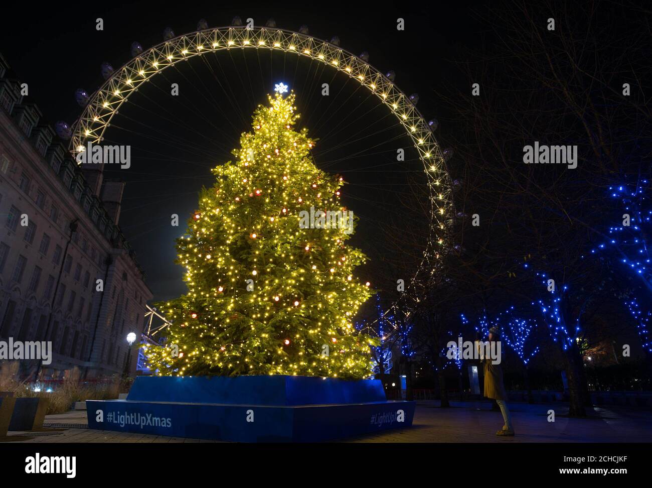 Marie curies memory tree hi-res stock photography and images - Alamy