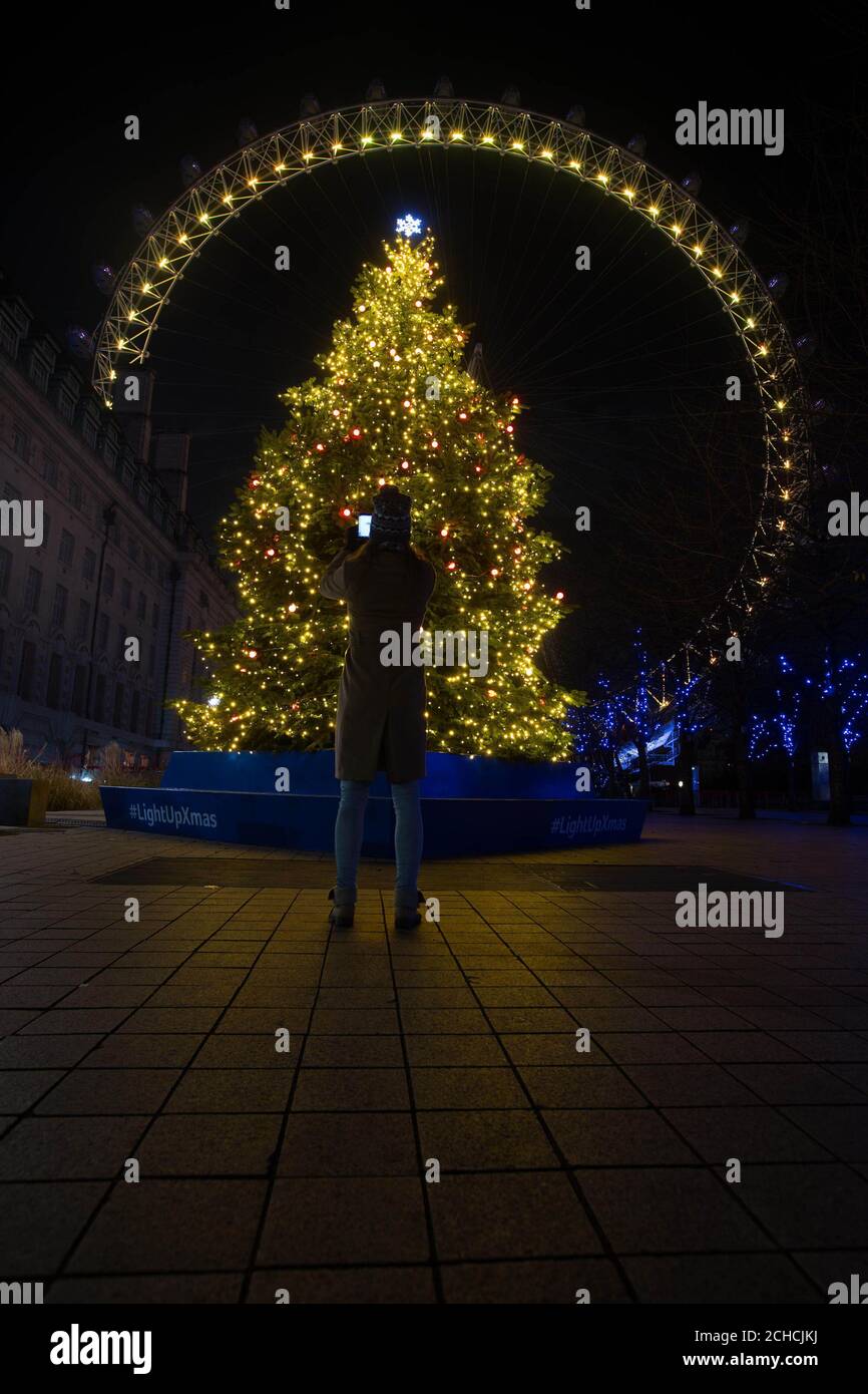 Marie curies memory tree hi-res stock photography and images - Alamy