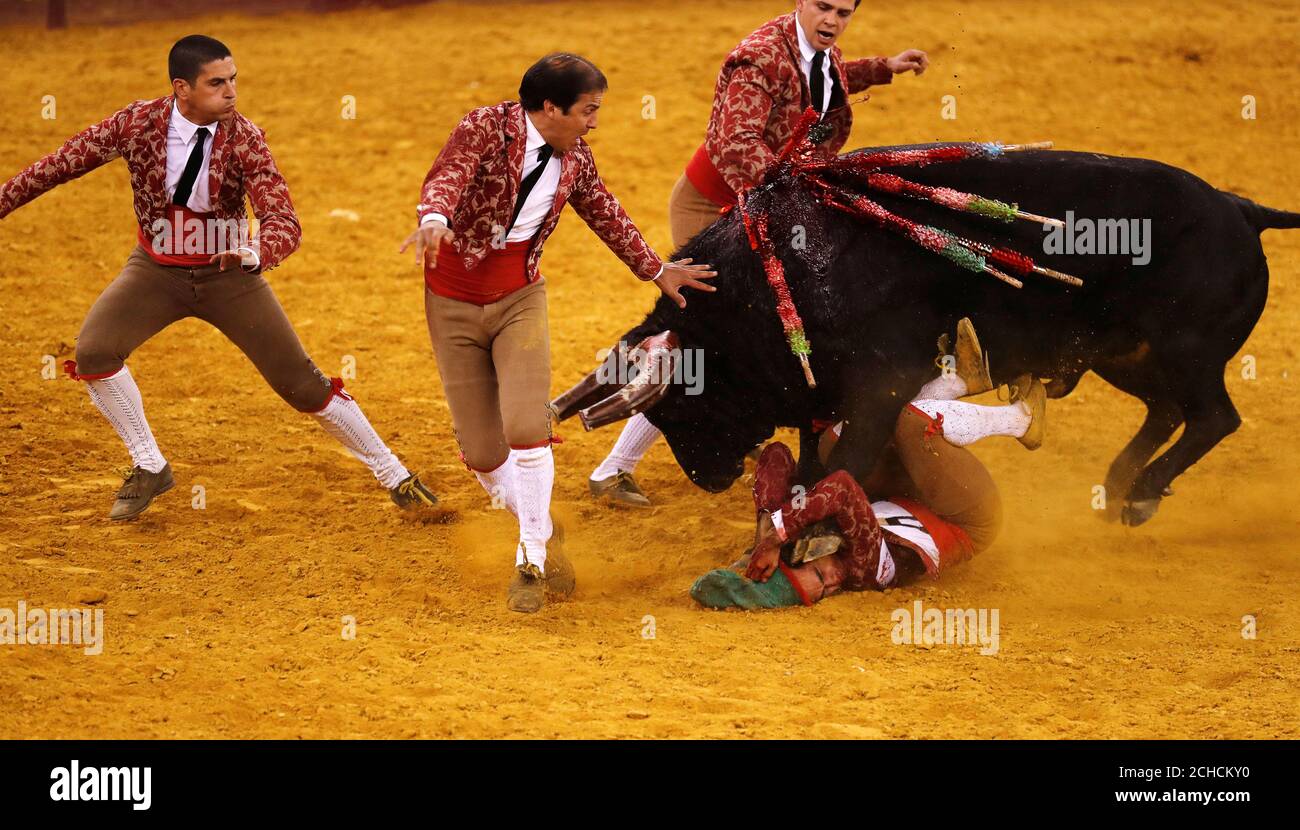 Forcados High Resolution Stock Photography and Images - Alamy