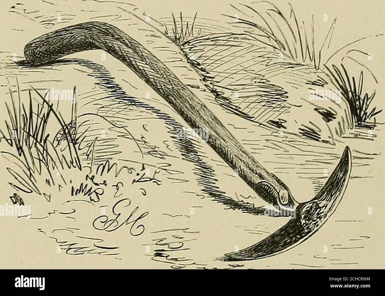 Unpractical hi-res stock photography and images - Alamy