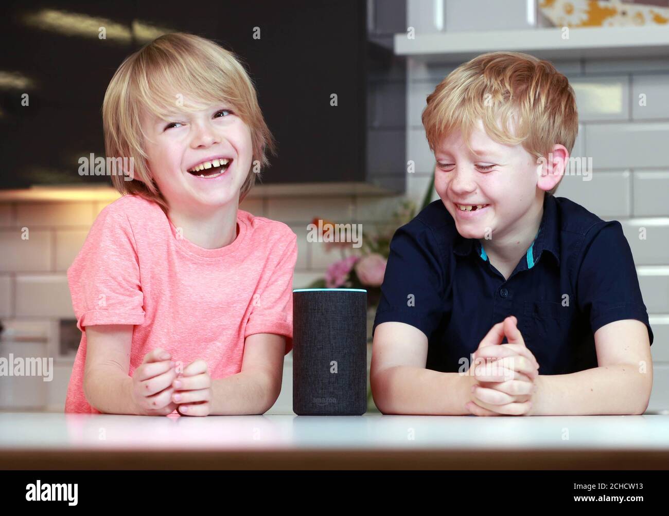 Rowan common hi-res stock photography and images - Alamy