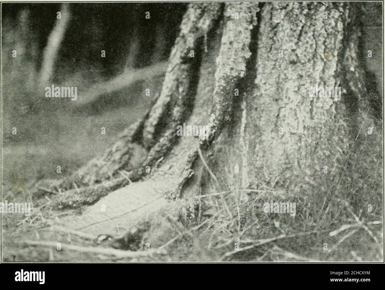 Gash River High Resolution Stock Photography and Images - Alamy