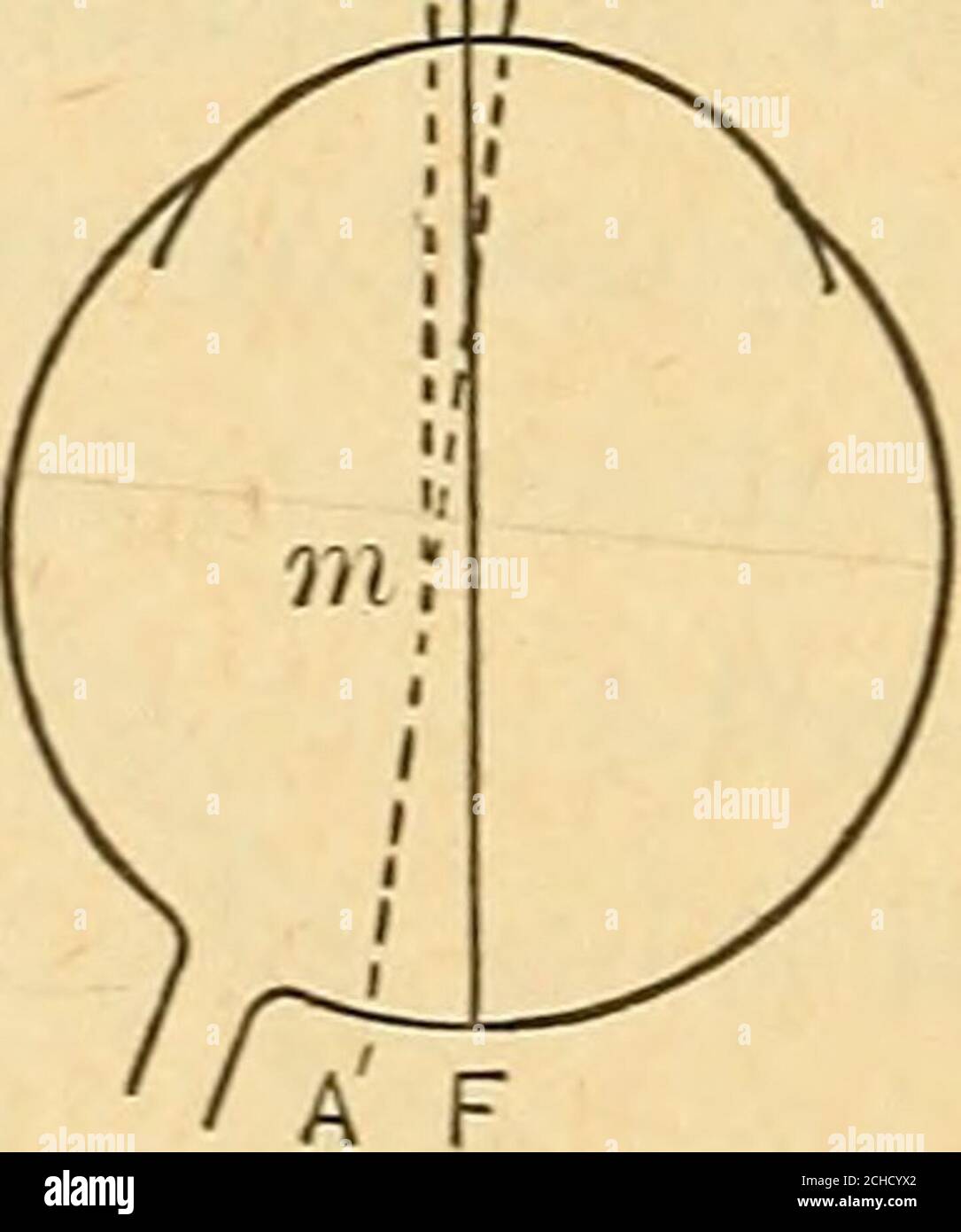 . The refraction of the eye; including a complete treatise on ...
