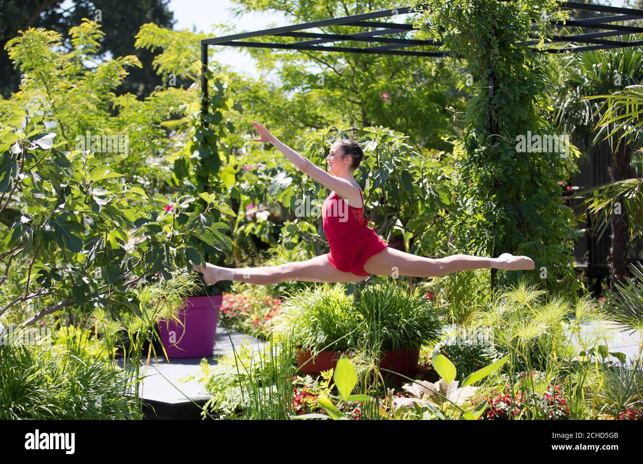 Lizzie q hi-res stock photography and images - Alamy
